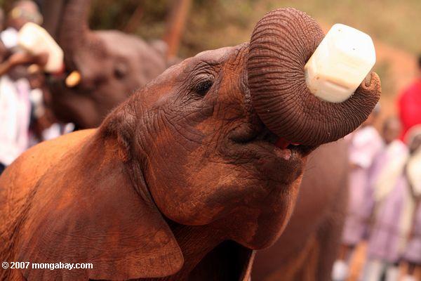 kenya-0204