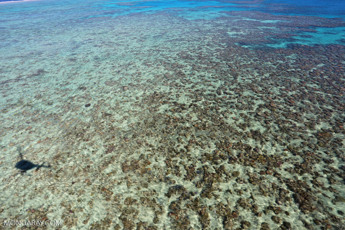 Hastings Reef on Australia's Great Barrier Reef [australia_great ...
