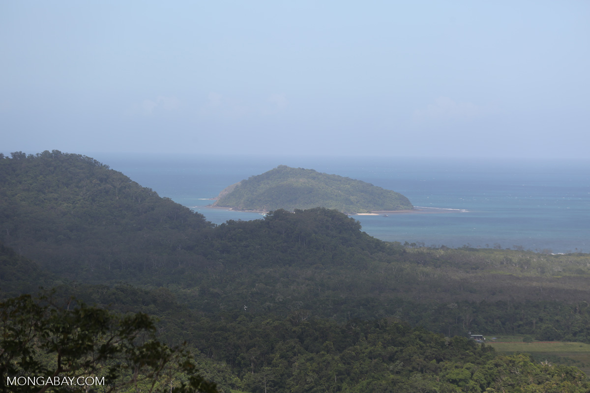 Snapper island