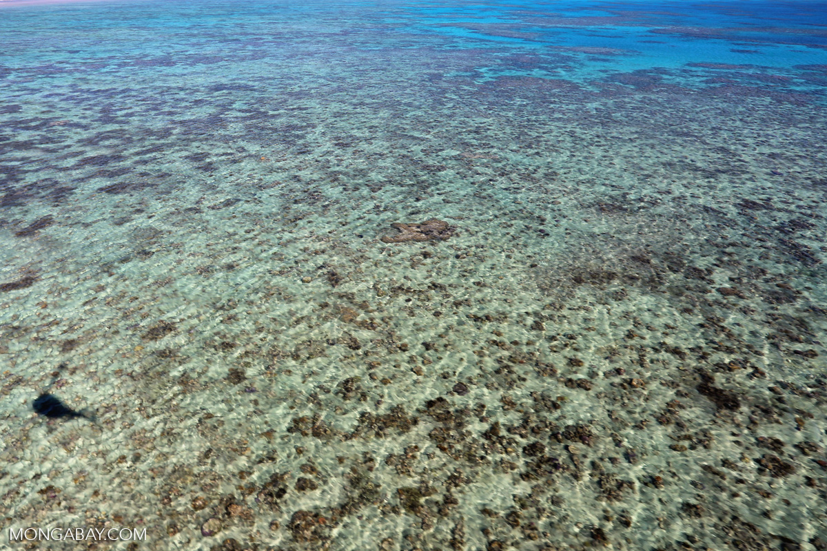 Hastings Reef on Australia's Great Barrier Reef [australia_great ...