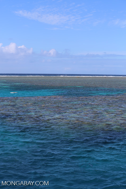 Hastings Reef in Australia [australia_great_barrier_reef_0188]