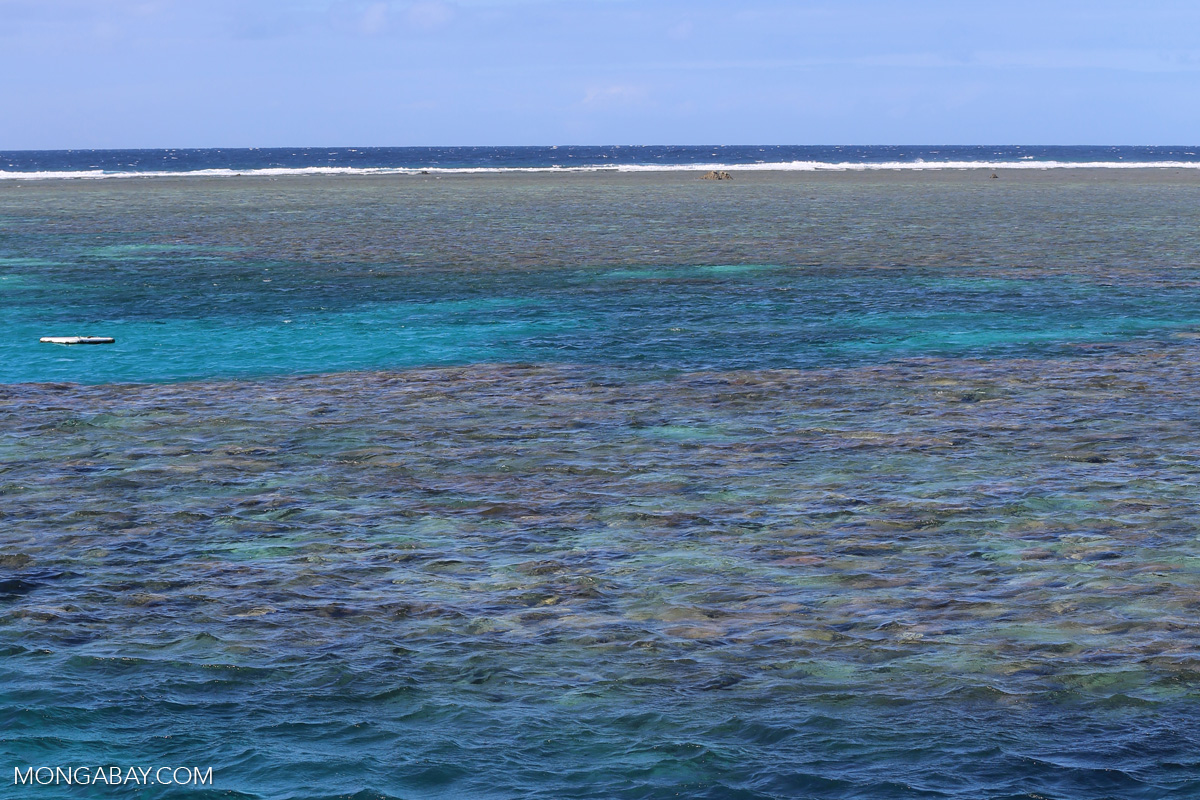 Hastings Reef on the GBR [australia_great_barrier_reef_0189]