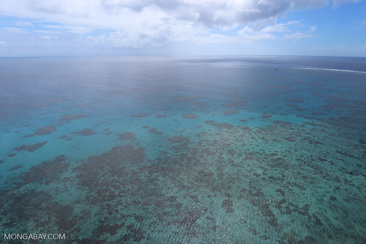 Hastings Reef on the GBR [australia_great_barrier_reef_0257]