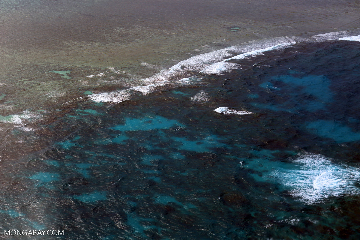 Hastings Reef on Australia's Great Barrier Reef [australia_great ...