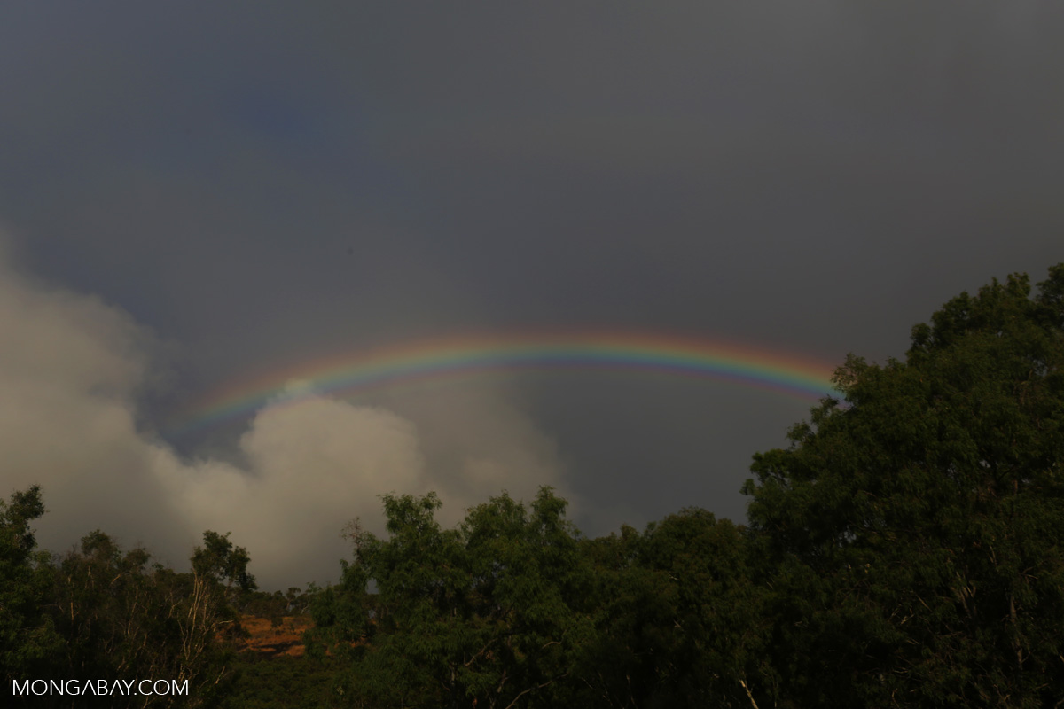 Rainbow in Australia [australia_road_to_daintree_072]