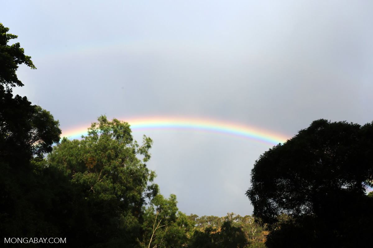 Rainbow in Australia [australia_road_to_daintree_078]