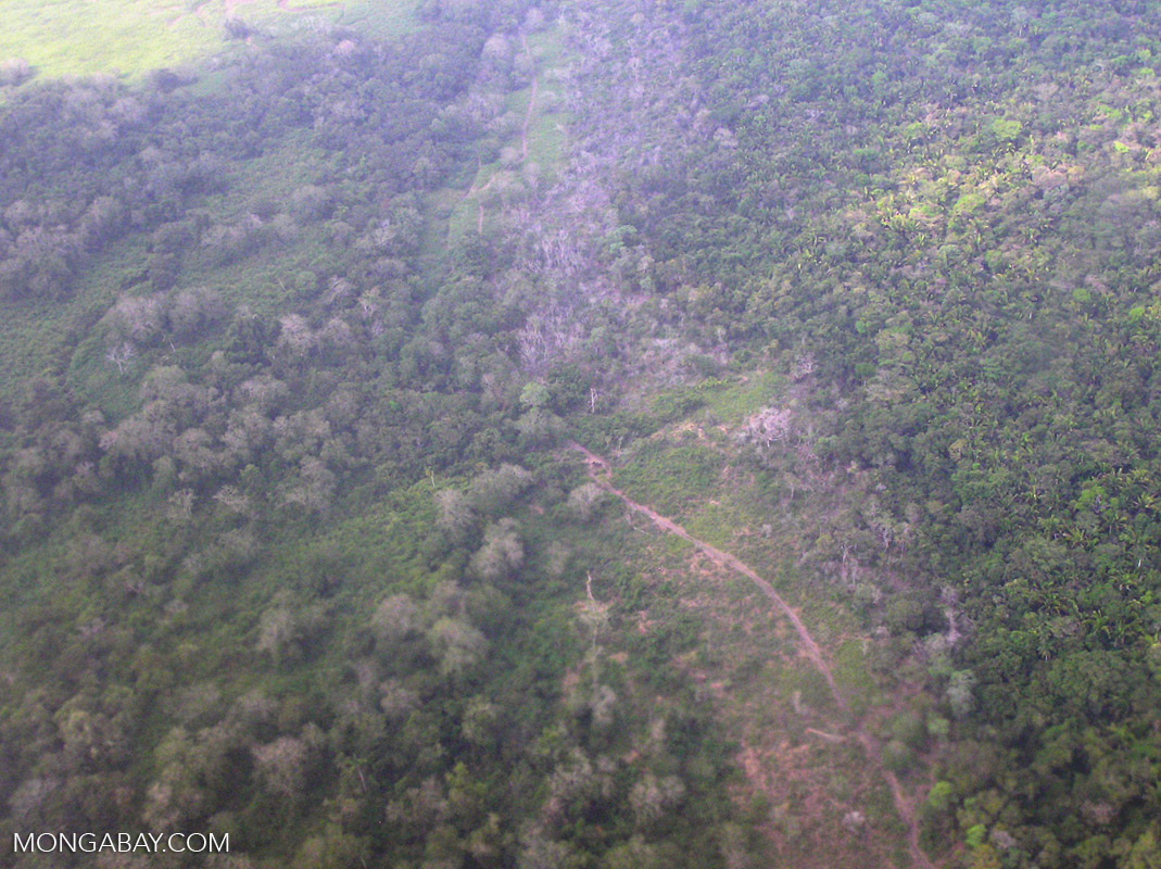 Aerial view of deforestation in Belize [belize_uw0017]