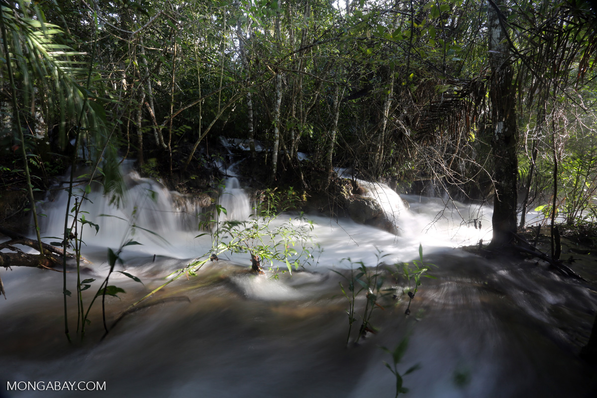 Boiling rapids on the Rio Formoso