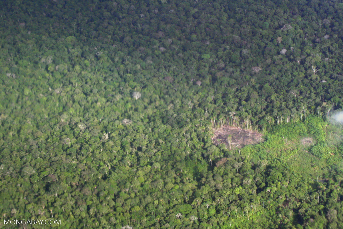 Overhead view of deforestation in the Colombian Amazon