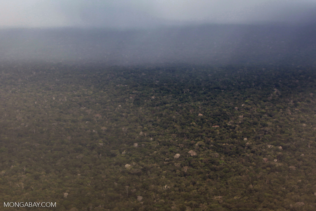 Storm in the Amazon rainforest