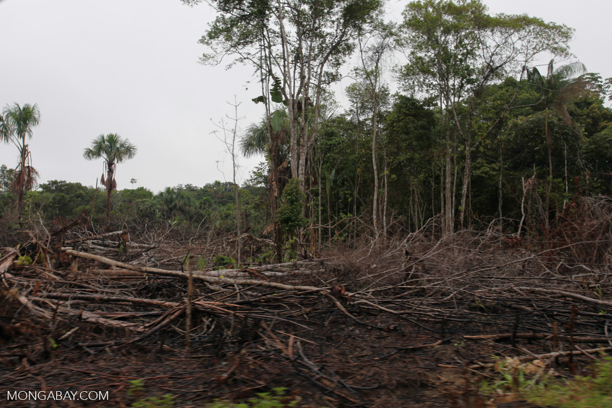 Deforestation in the Colombian Amazon [colombia_0140]