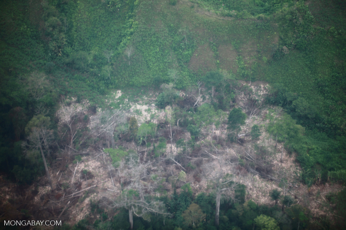 Forest fragmentation/deforestation in the Colombian Choco [colombia_1733]
