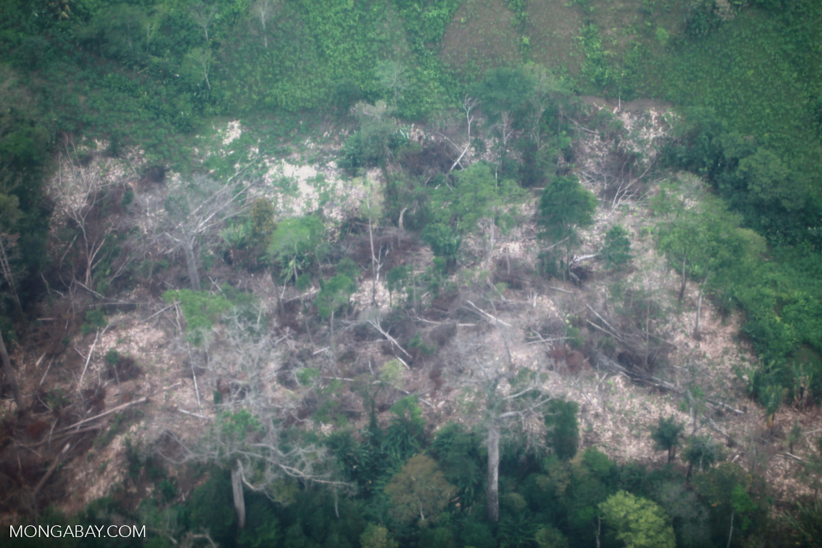 Forest fragmentation/deforestation in the Colombian Choco [colombia_1735]
