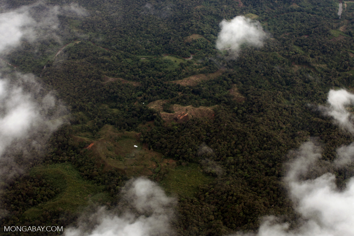 Deforestation in Colombia's Choco