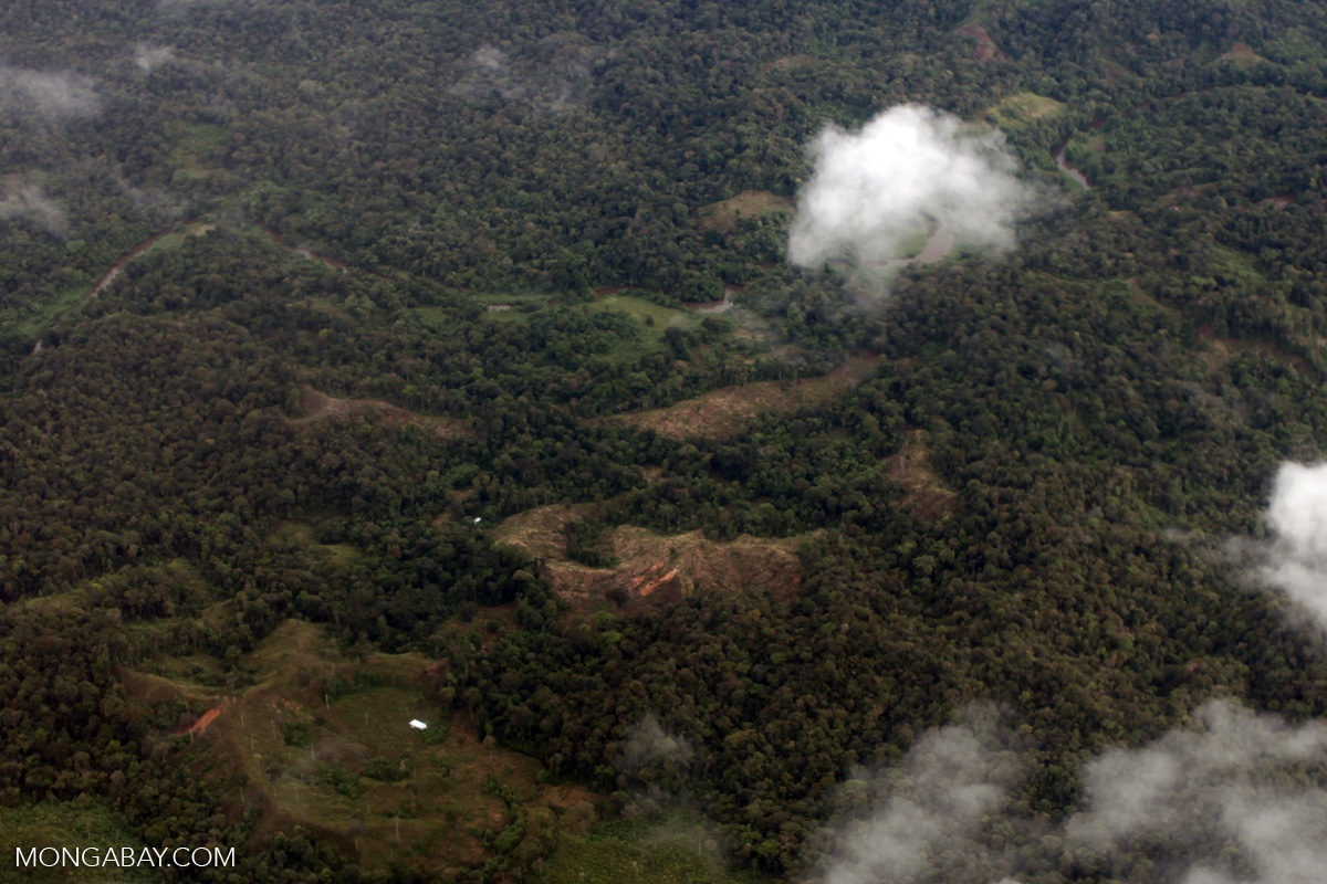 Deforestation in Colombia's Choco [colombia_3914]