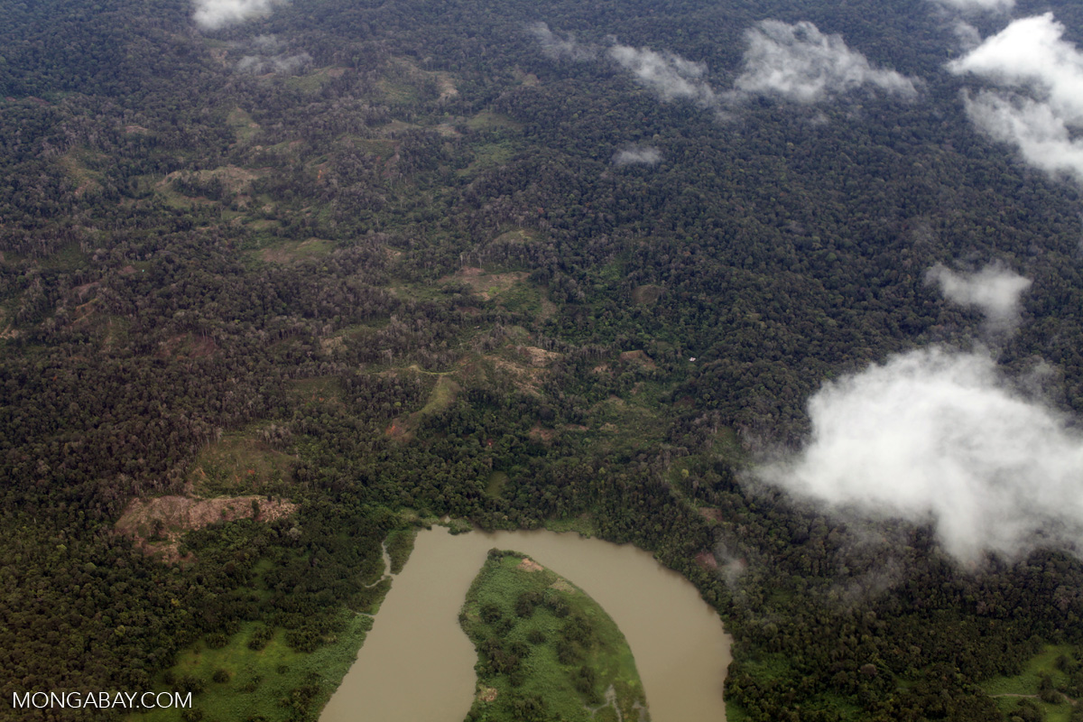 Rainforest Mongabay Choco Colombia
