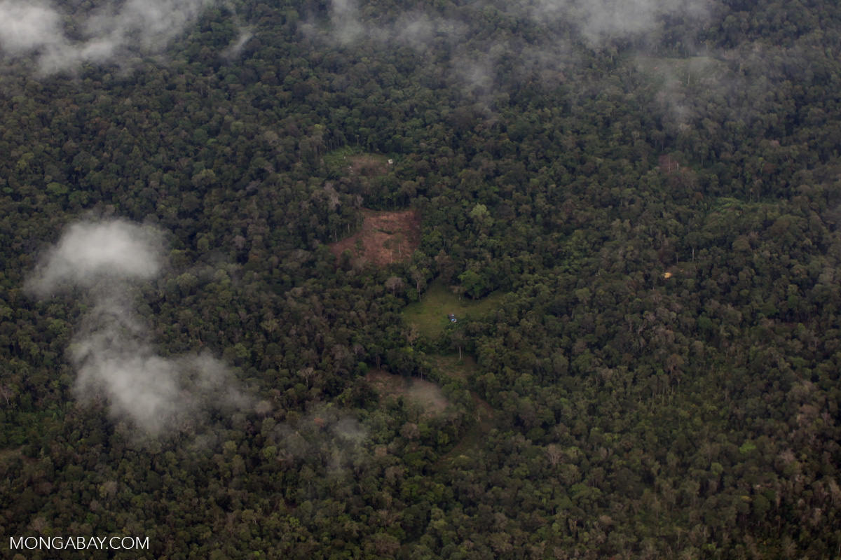 Rainforest Mongabay Choco Colombia