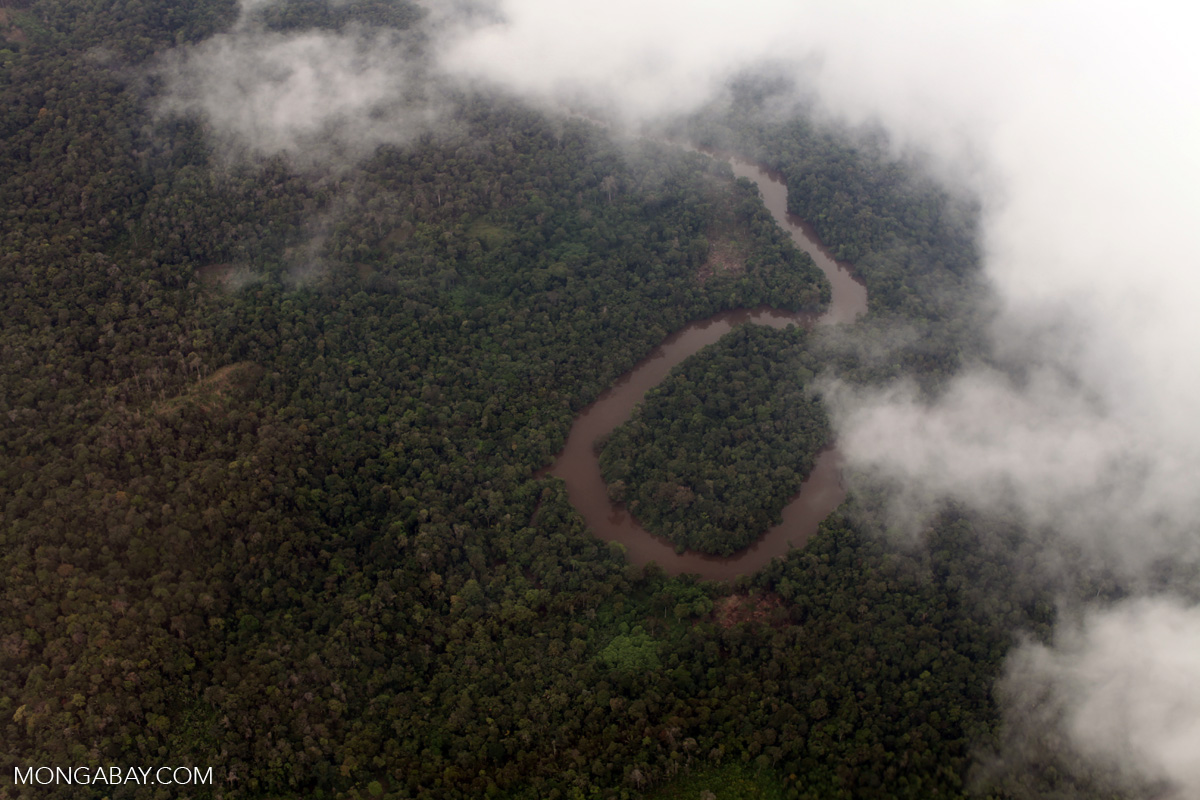 Rainforest Mongabay Choco Colombia