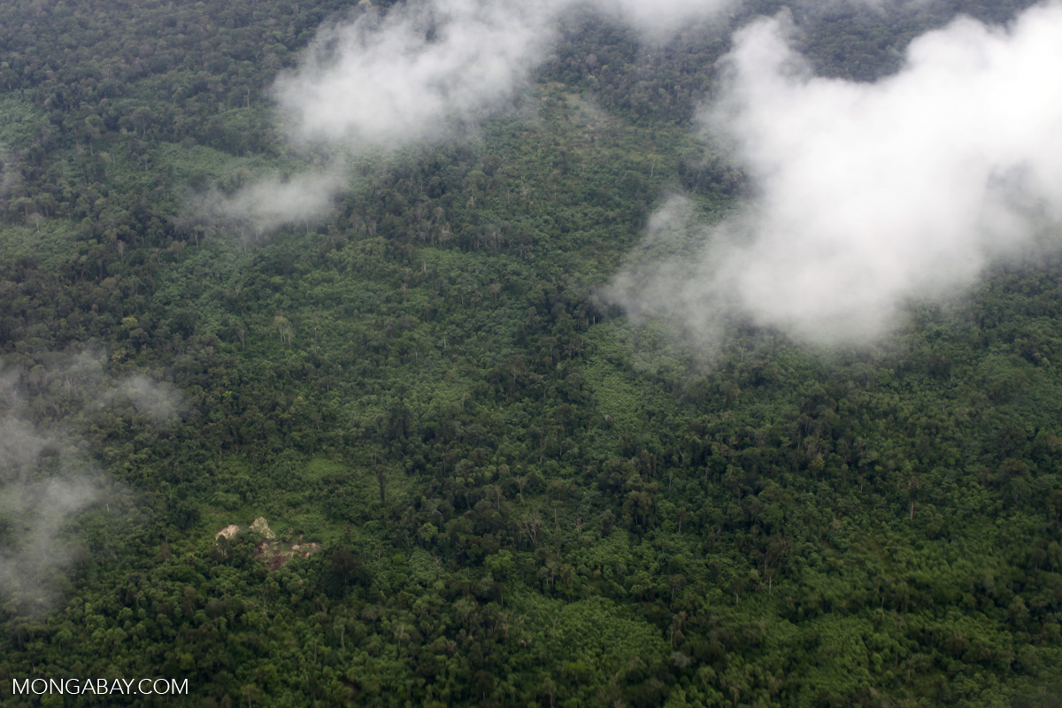 Rainforest Mongabay Choco Colombia