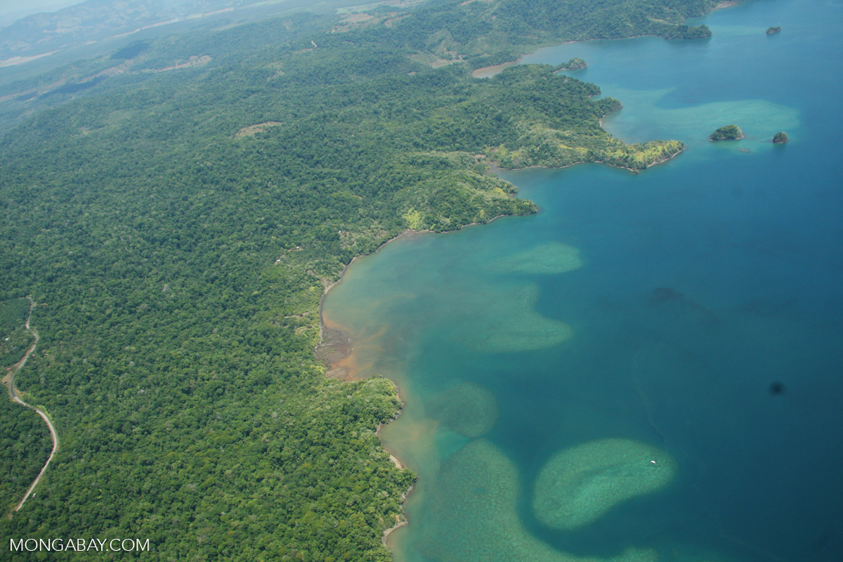 Aerial view of coastal forest and coral reefs in Costa Rica [costa-rica ...