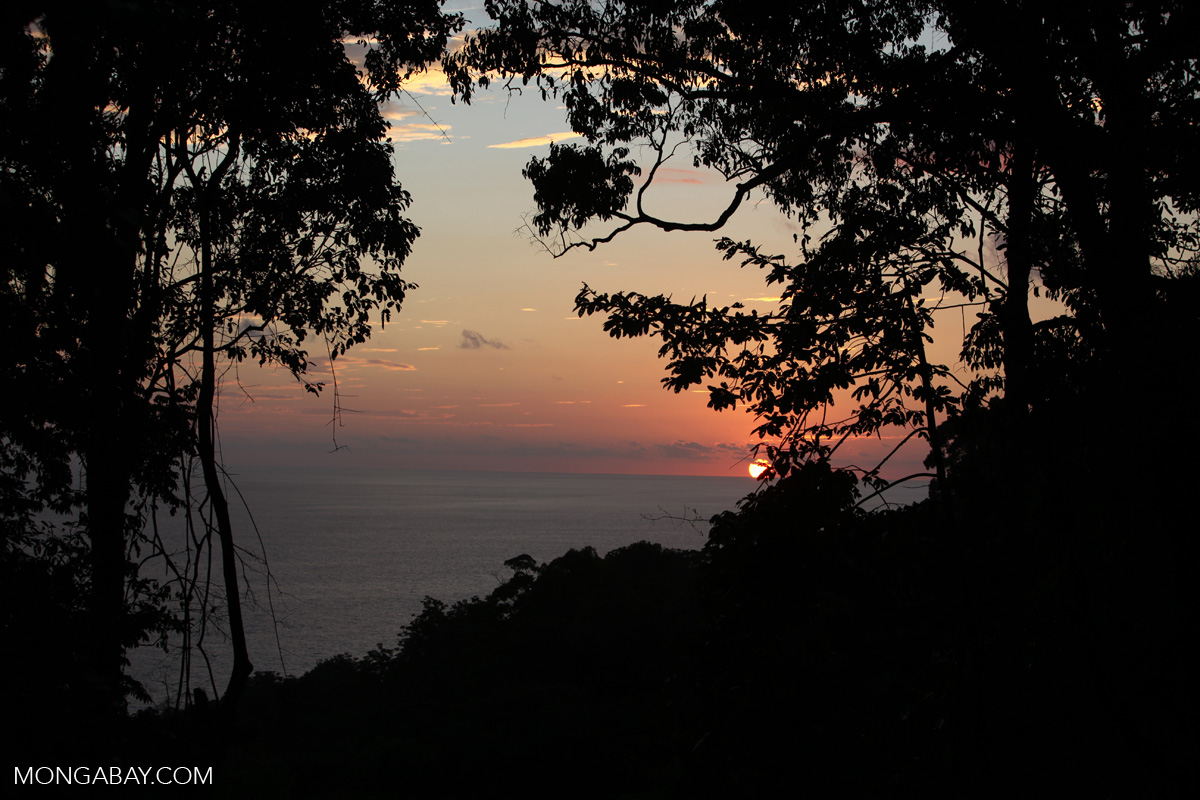 Sunset in the Costa Rican rainforest of the Osa Peninsula [costa-rica_0997]