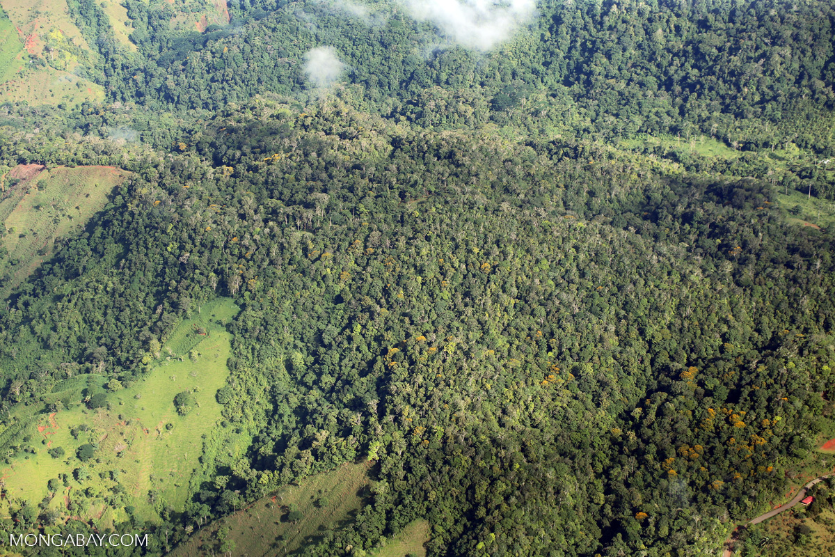 Overhead view of rainforest in Costa Rica [costa_rica_aerial_0045]