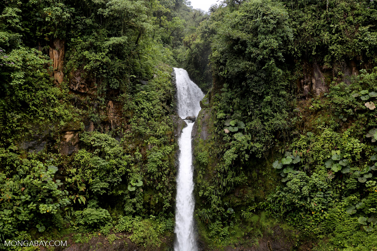 Waterfall on Route 126 [costa_rica_la_selva_0034]
