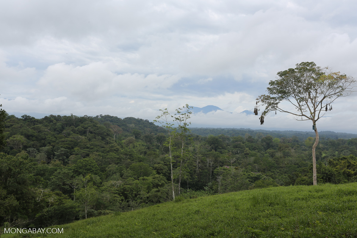 View of La Selva rainforest and Central mountain range of Costa Rica ...