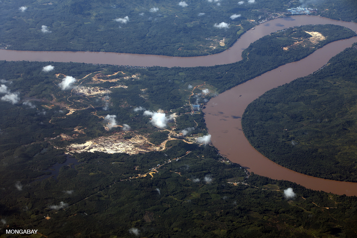 Mining and oil palm plantation