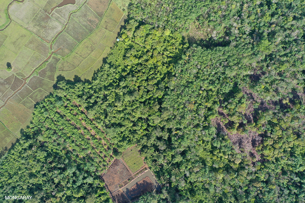 kalbar_drone_190244