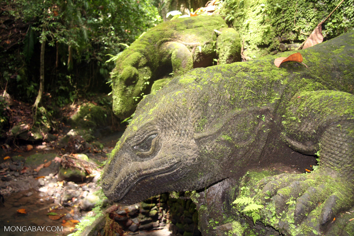 Monitor lizard statues (Ubud, Bali)