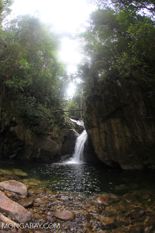 Riam Berasap waterfall in Gunung Palung National Park [kalbar_0774]