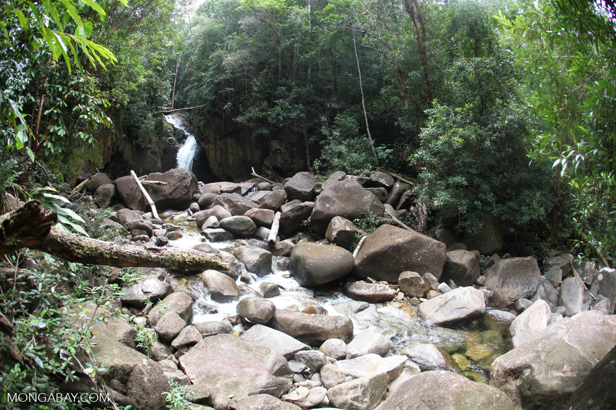 Riam Berasap waterfall in Gunung Palung National Park [kalbar_0762]