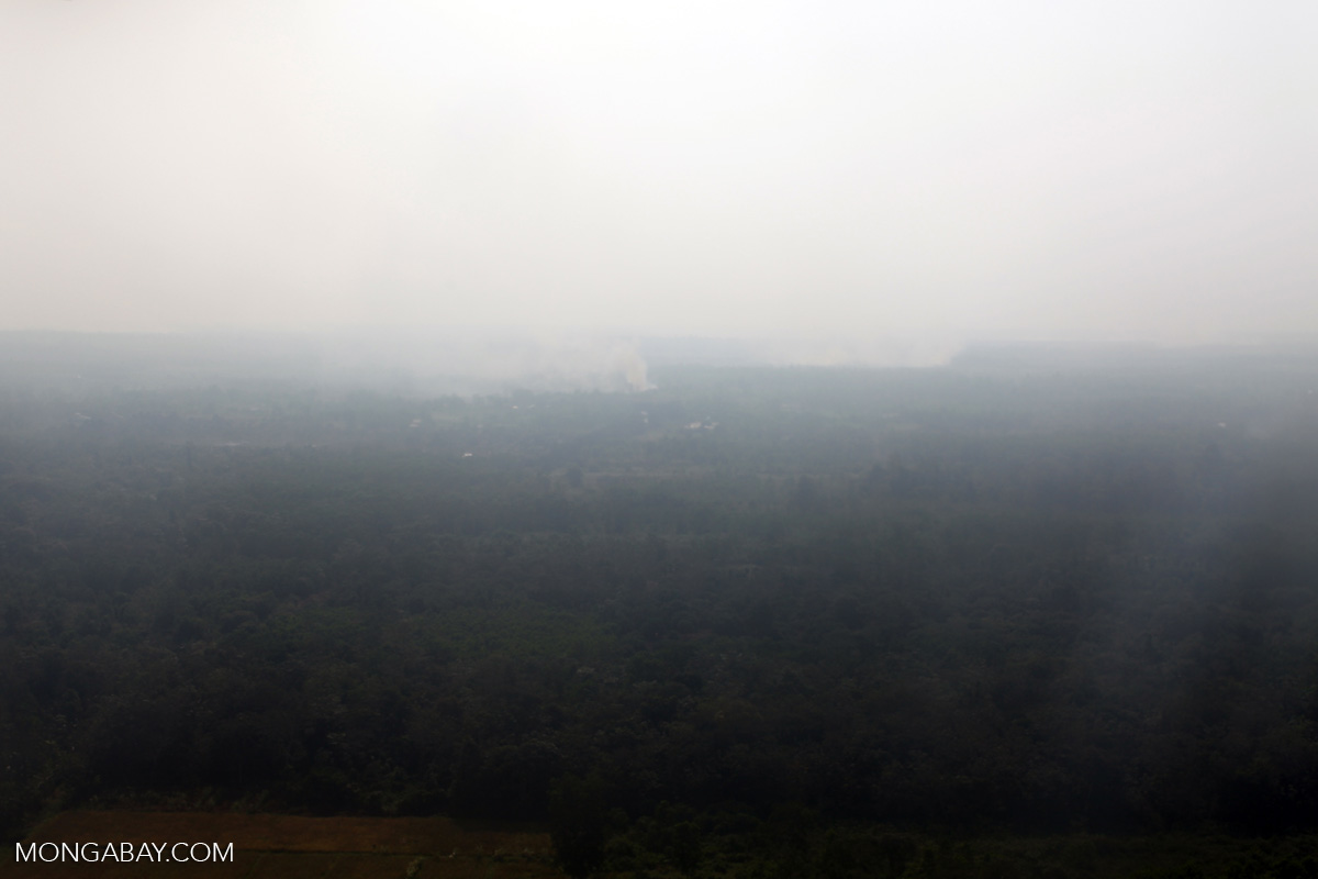 Aerial vew of burning peatlands and forest in Indonesian Borneo [kalbar ...