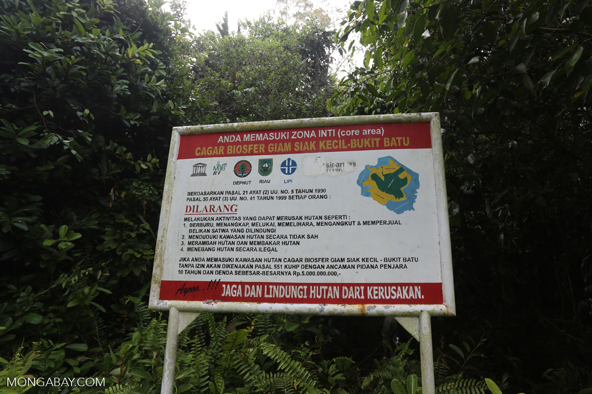 Giam Siak Kecil-Bukit Batu [riau_0330]