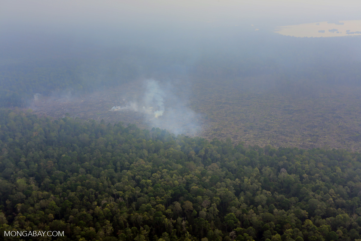 Peat fire in Riau [riau_0668]