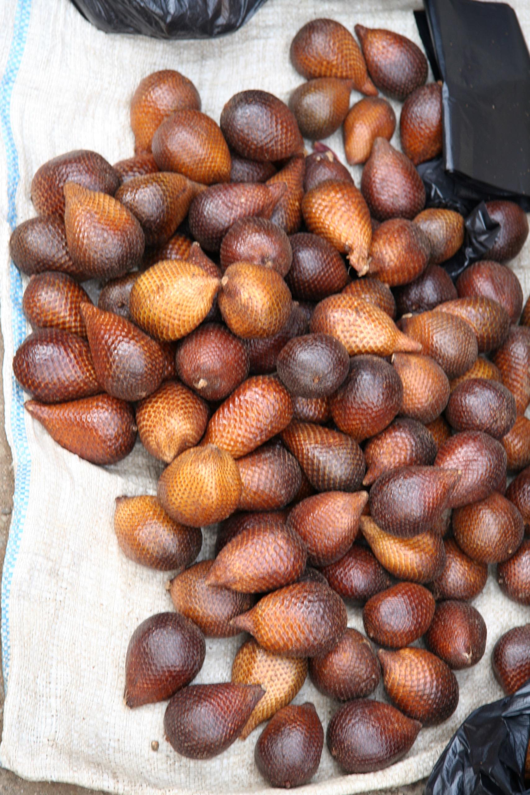 Salak or snakeskin fruit (Salacca Edulis) (Toraja Land (Torajaland ...