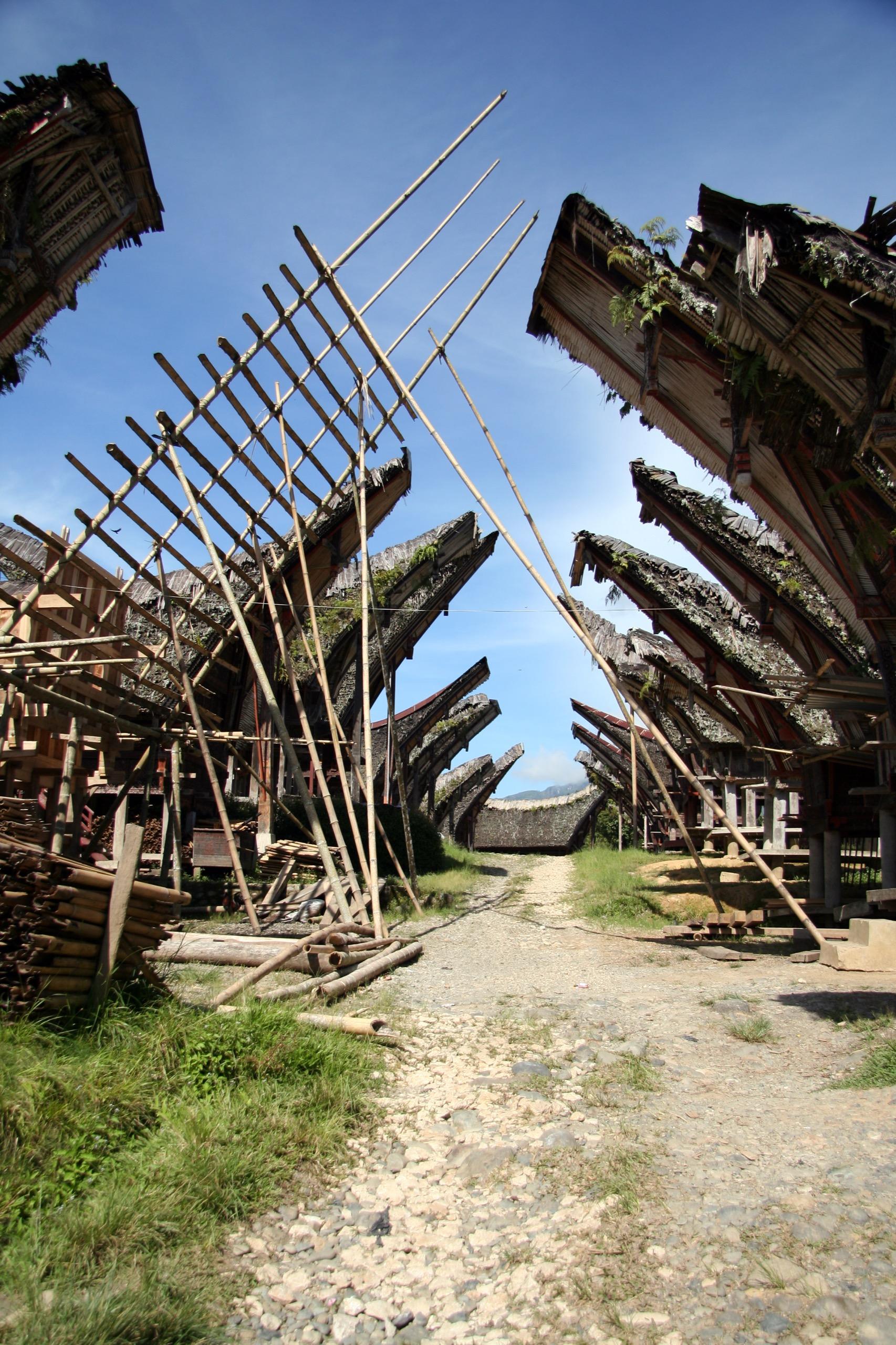 Houses of Palawa, a traditional village in Torajaland (Toraja Land ...