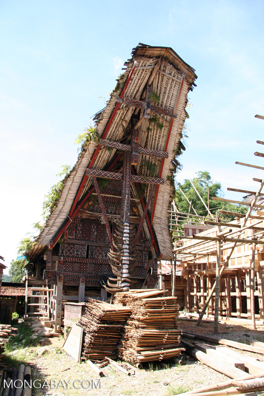 Construction of a traditional house in Palawa (Toraja Land (Torajaland ...