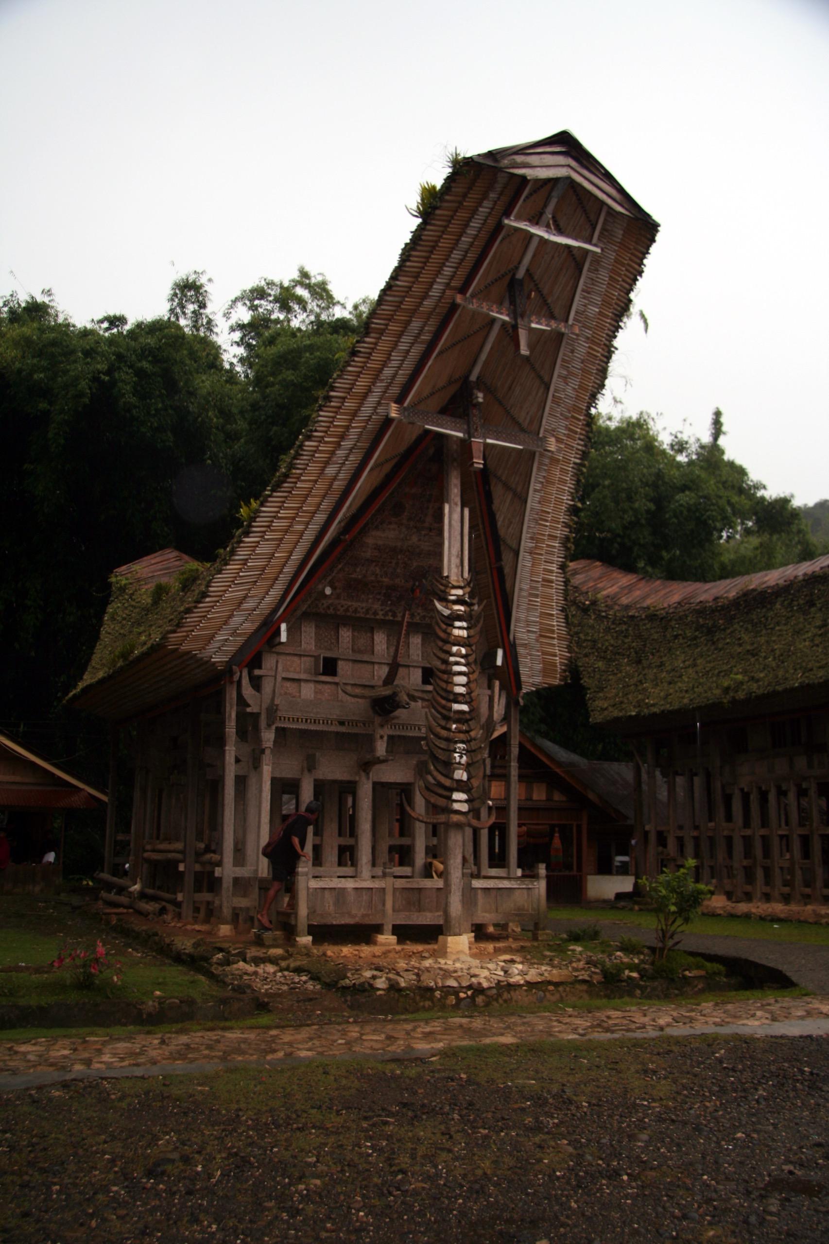 Tradtional Toraja house at Ketu Kese (Toraja Land (Torajaland), Sulawesi)