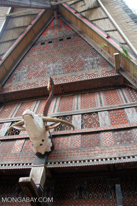 Intricate wood carvings on side of Toraja house in Ketu Kese (Toraja ...