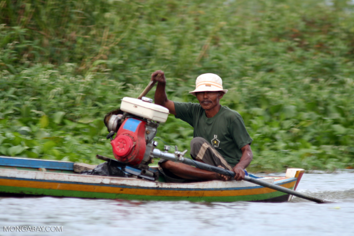 Man driving traditional Buginese motorized canoe (Sulawesi - Celebes ...