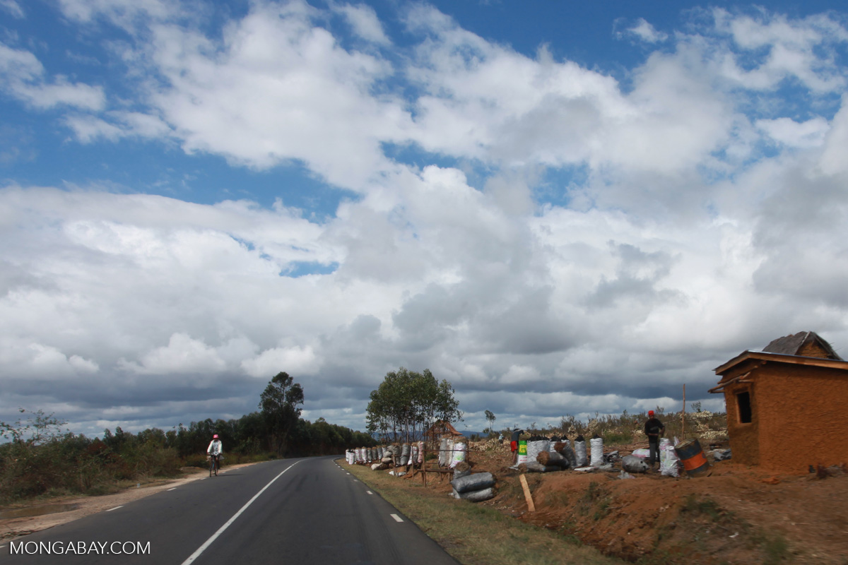Bags of charcoal on sale along RN2 in Madagascar
