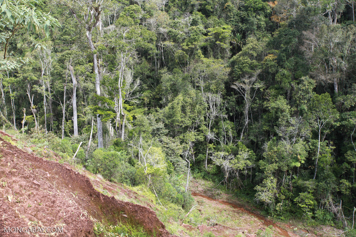 Damage from a graphite mine near Mantandia [madagascar_1089]