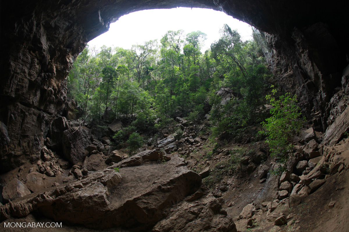 Ankarana cave [madagascar_3961]