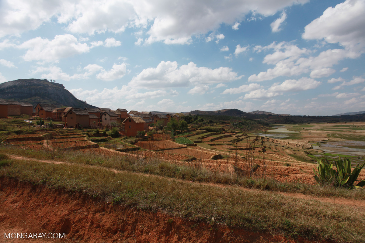 Terraced rice fields near Fianarantsoa [madagascar_5626]