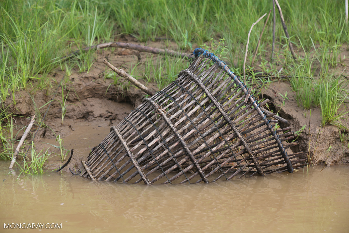 Fish trap