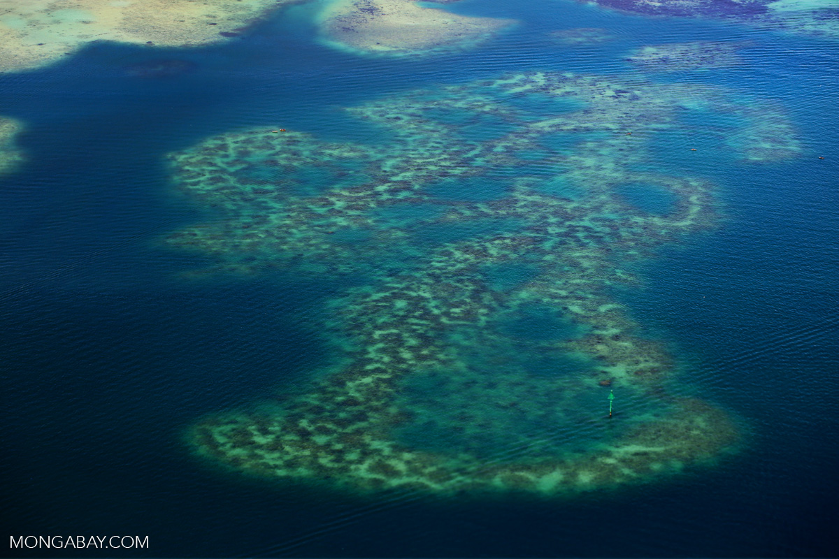 Coral reef off Borneo