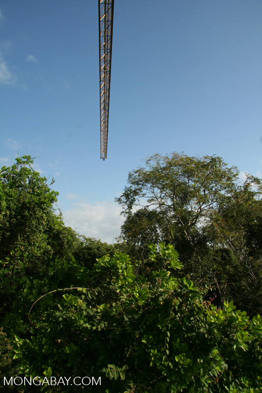 Rain forest canopy crane in Panama City's urban park