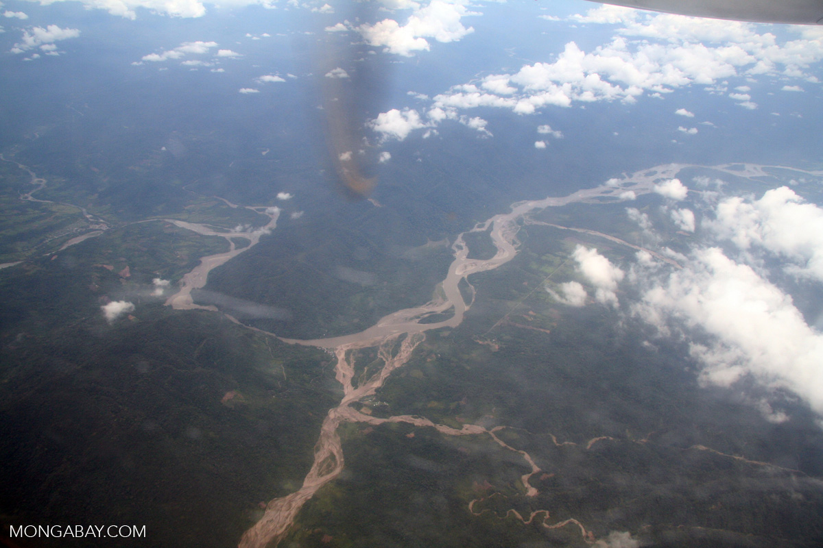 Deforestation for agriculture in the Peruvian Amazon rainforest